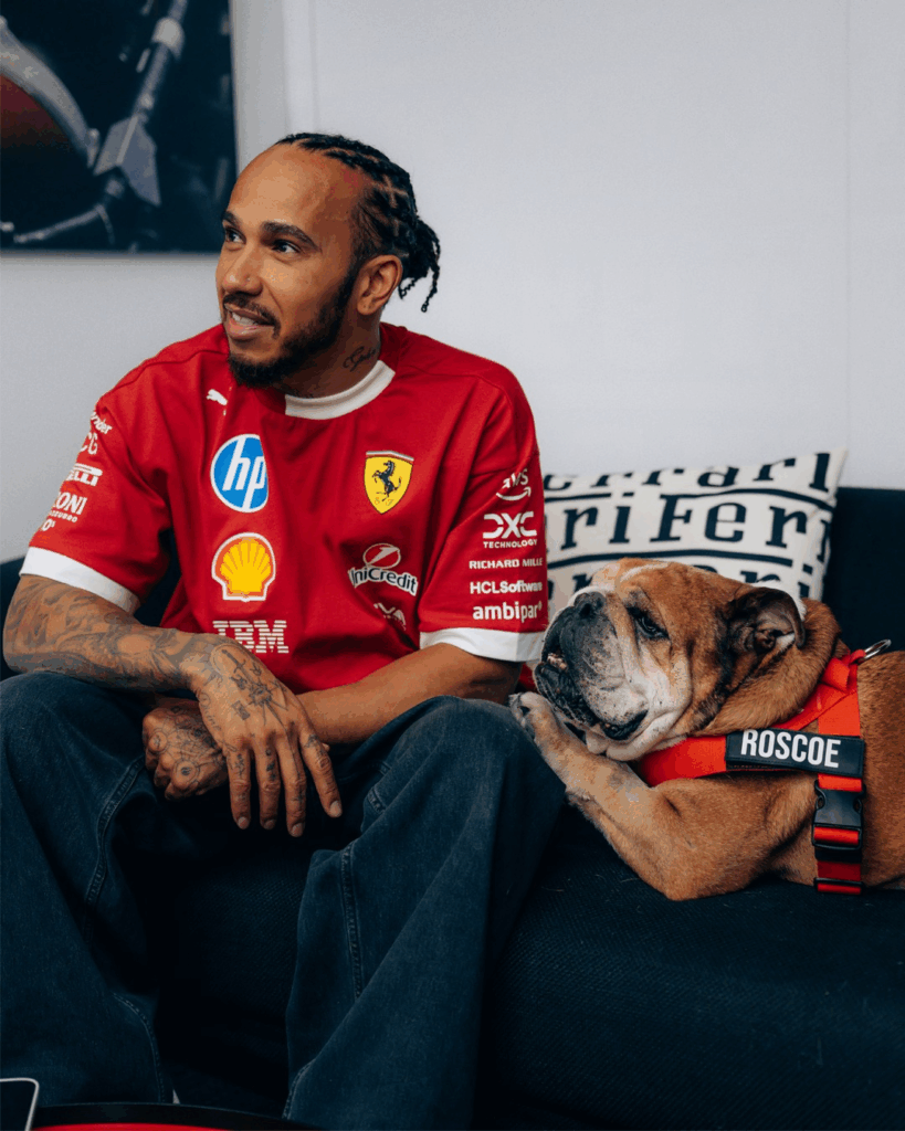 Lewis Hamilton remembers heartfelt bond with his dog Roscoe at F1 ...
